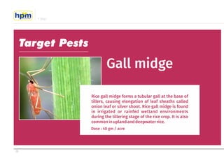 7 star | PDF | Agriculture | Industries