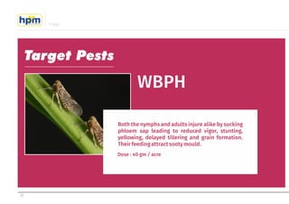 7 star | PDF | Agriculture | Industries