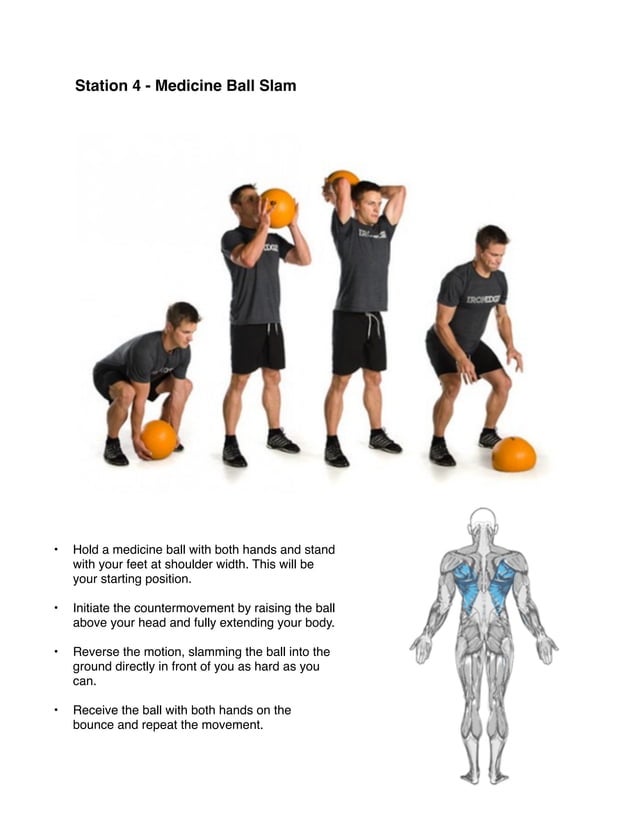 7 Station Circuit | PDF