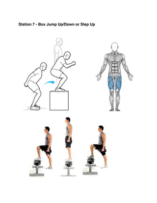 7 Station Circuit | PDF | Fitness and Exercise | Healthy Living