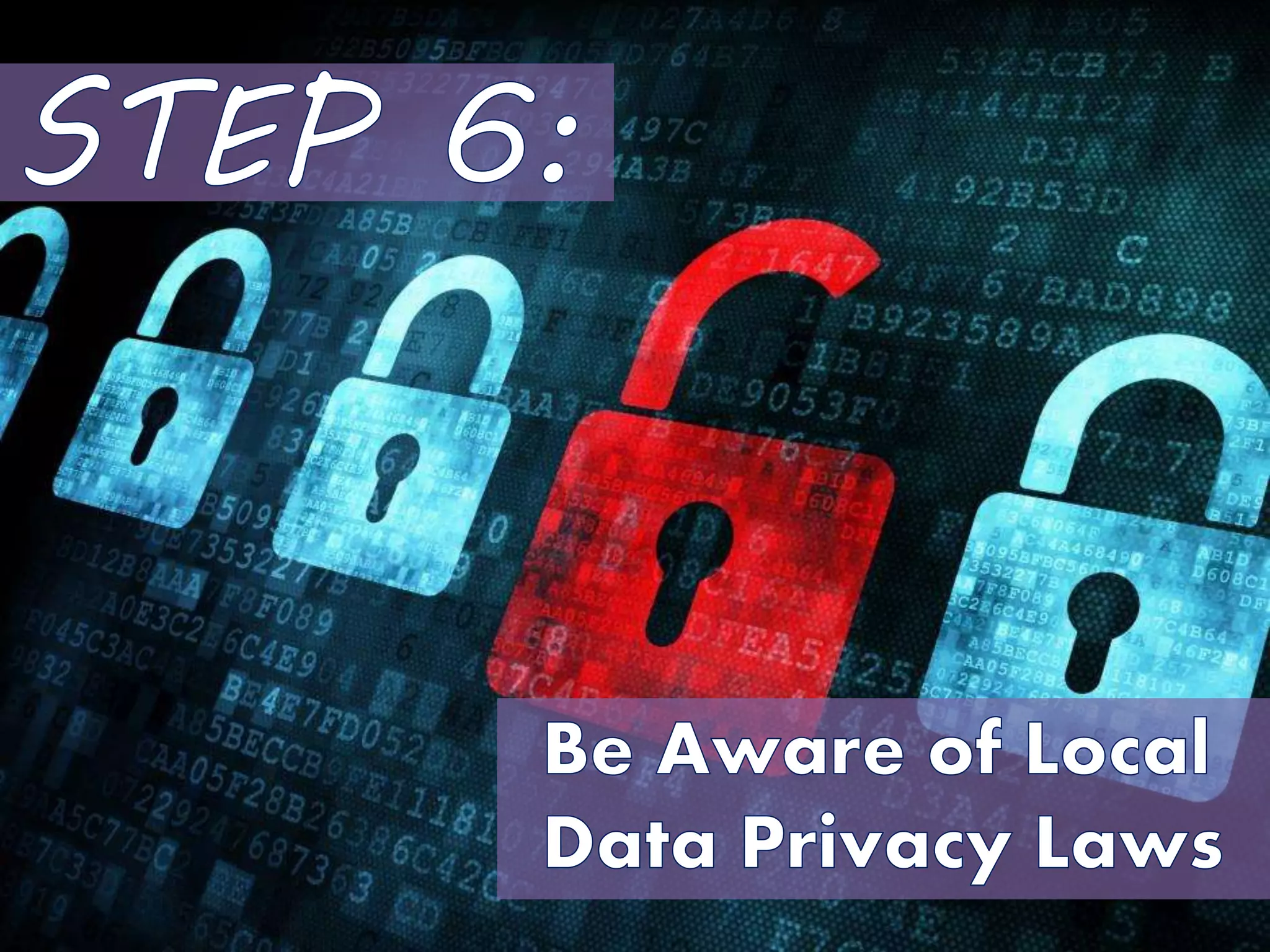 7 Steps to Better Data Quality | powered by Data Services, Inc. | PPT