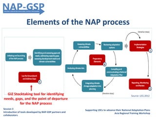 Stocktaking for national adaptation planning (SNAP) tool - GIZ | PDF