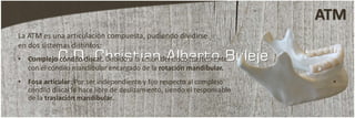Anatomía dental y oclusión / 2da unidad / 7ma clase: Biomecánica de la ...