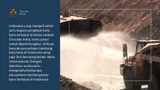 7 Tambang Batu Bara Terbesar di Indonesia || Titan Infra Energy