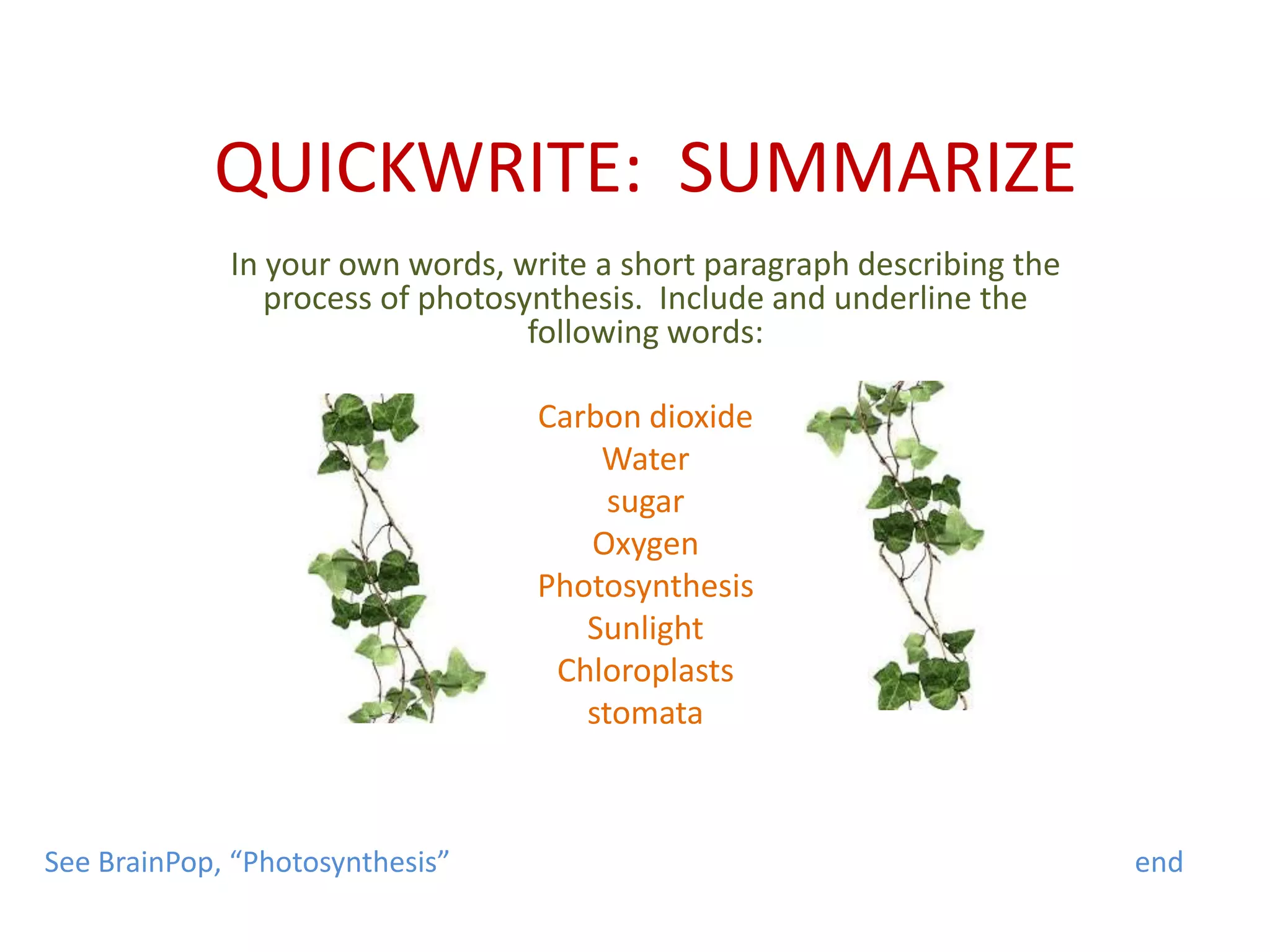 7th.ch4.sect1.photosynthesis | PPTX
