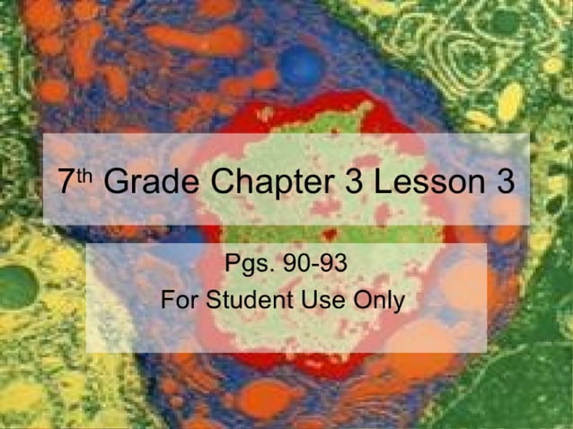 7th Grade Chapter 3 Lesson 3 | PDF