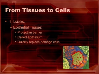 7th Grade Chapter 3 Lesson 6 | PPT