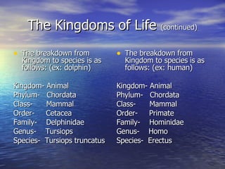 Chapter 1- scientific method, classification | PPT