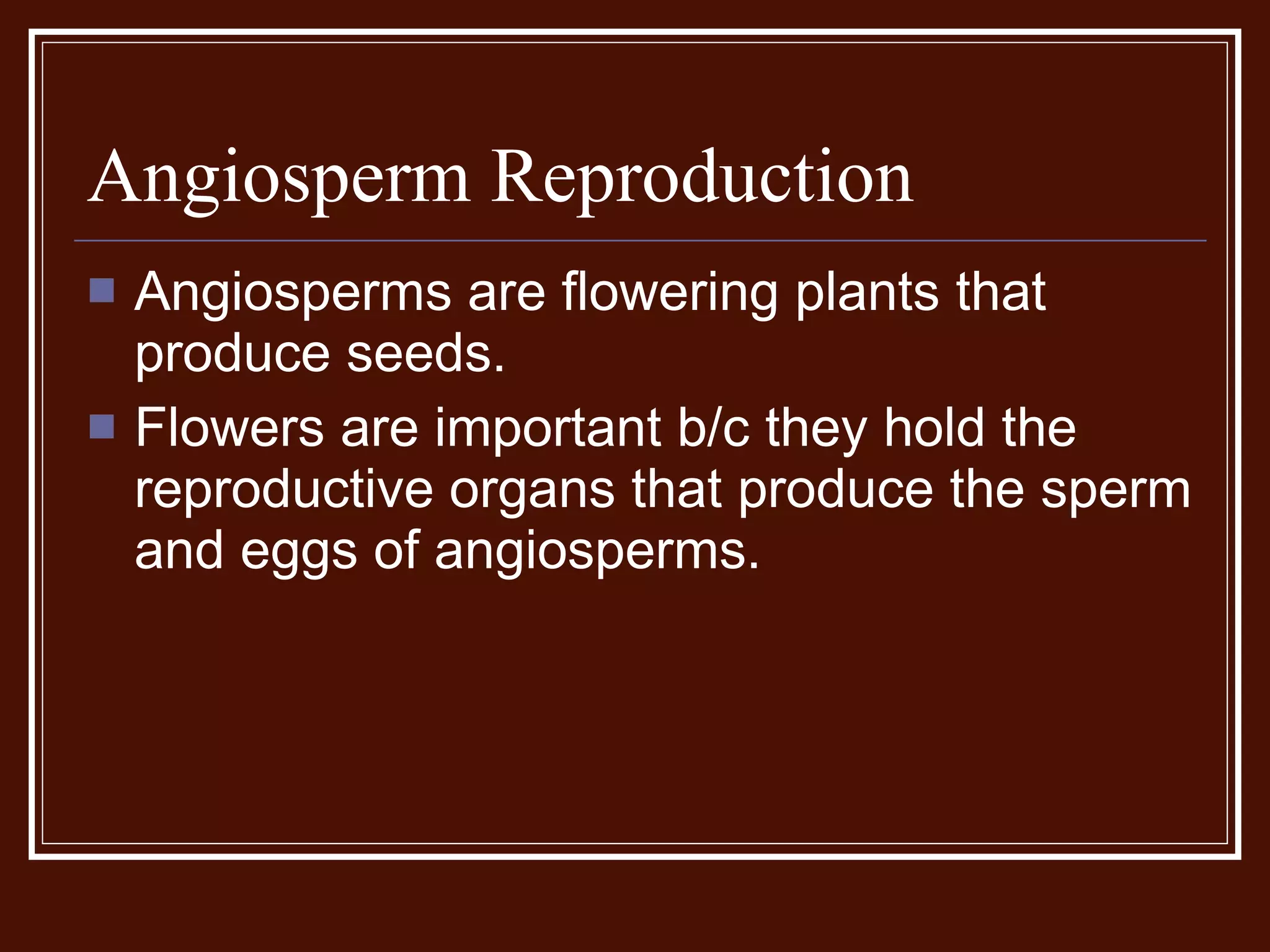 Chapter 10-plant reproduction | PPT