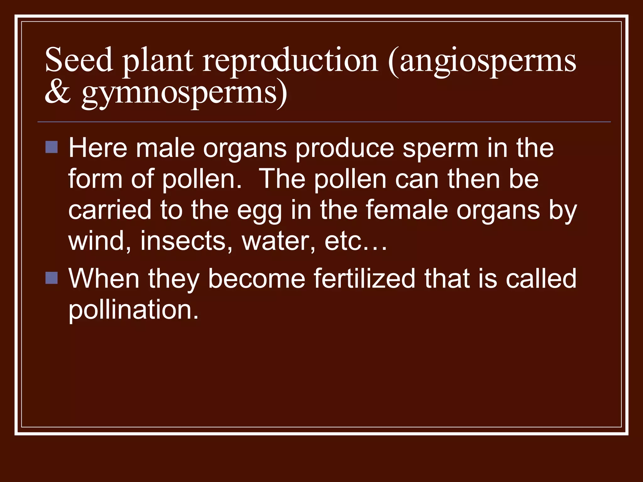 Chapter 10-plant reproduction | PPT