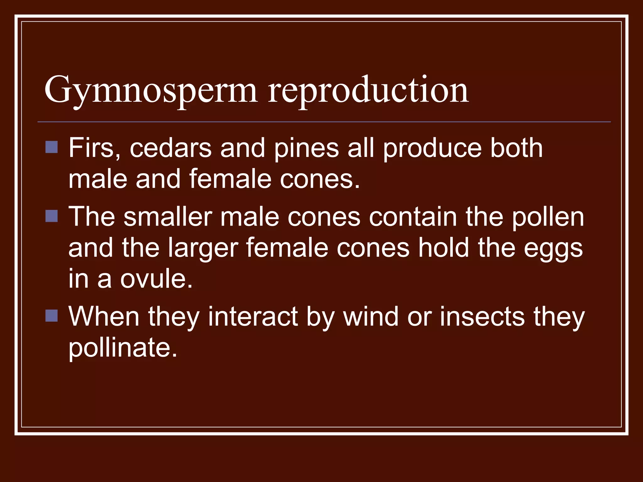 Chapter 10-plant reproduction | PPT
