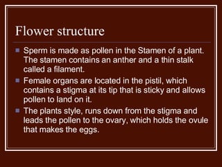 Chapter 10-plant reproduction | PPT