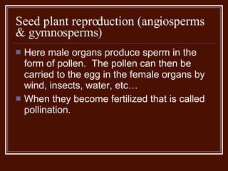 Chapter 10-plant reproduction | PPT