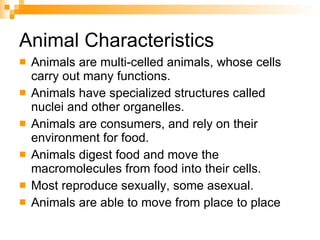 Chapter 12-Intro to animals | PPT