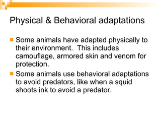 Chapter 12-Intro to animals | PPT