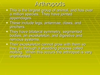 Chapter 13- higher animals | PPT