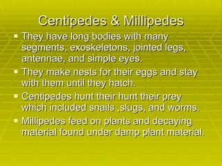 Chapter 13- higher animals | PPT