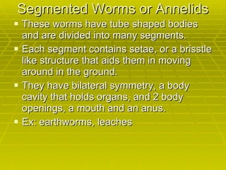 Chapter 13- higher animals | PPT
