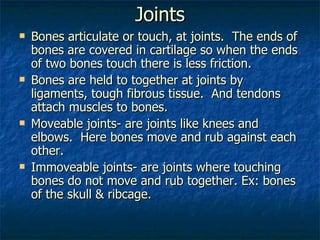 Chapter 17-human structure | PPT | Bone and Joint Conditions | Diseases ...