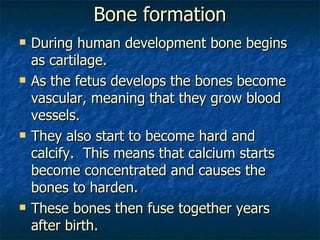 Chapter 17-human structure | PPT | Bone and Joint Conditions | Diseases ...