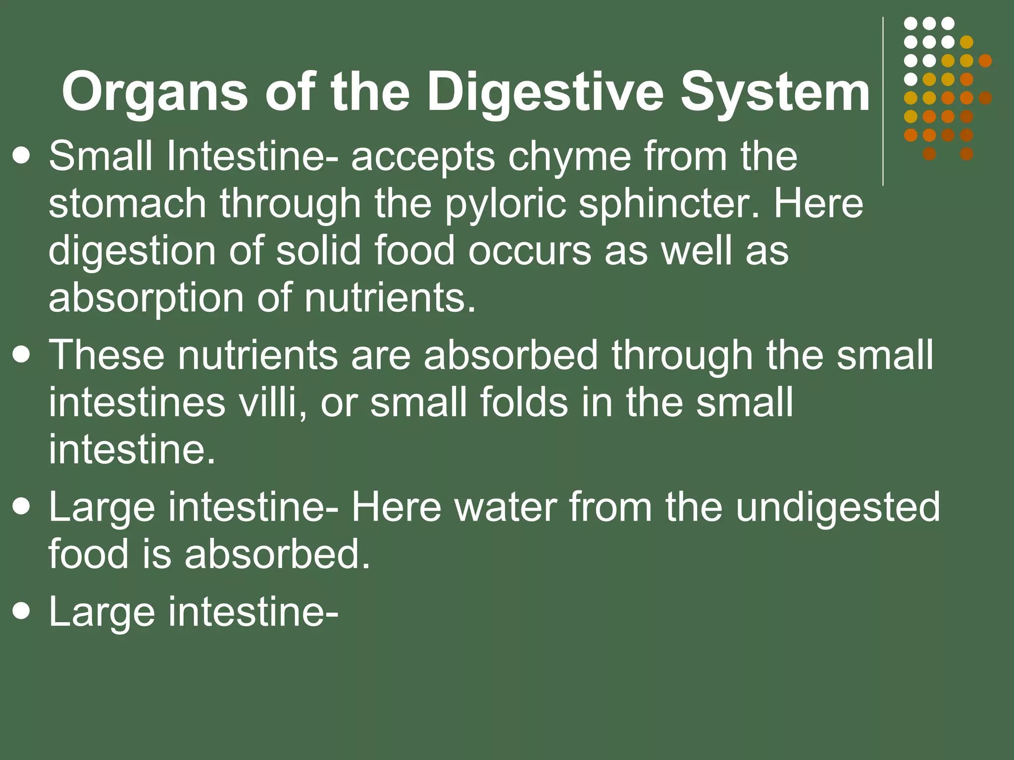 Chapter 18- nutrition, digestion, excretion | PPT