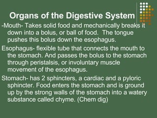 Chapter 18- nutrition, digestion, excretion | PPT