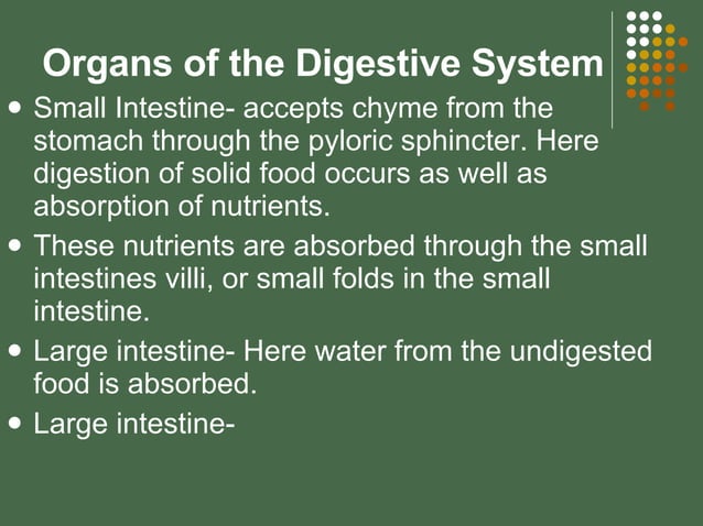 Chapter 18- nutrition, digestion, excretion | PPT | Digestive Disorders ...