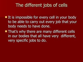 Chapter 2- Cells | PPT