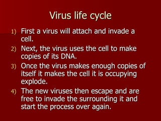 Chapter 2- Cells | PPT