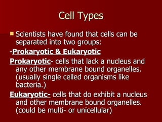 Chapter 2- Cells | PPT