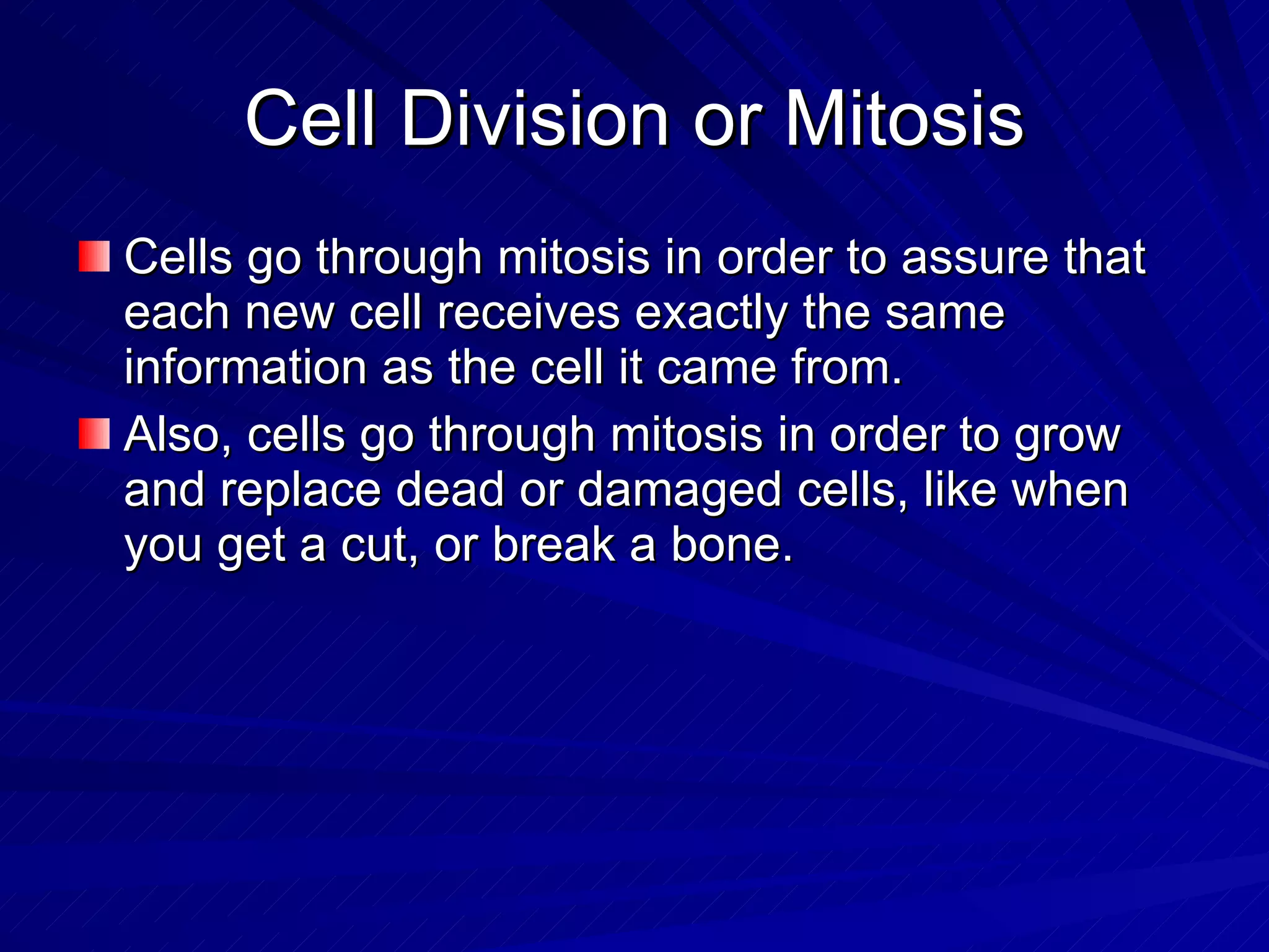 Chapter 4-cell division, mitosis, DNA, protein production | PPT