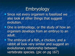 Chapter 6-Evolution | PPT