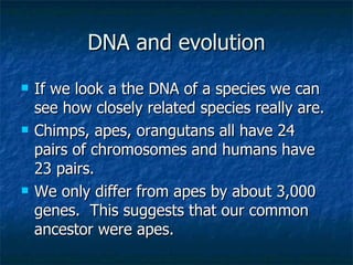 Chapter 6-Evolution | PPT