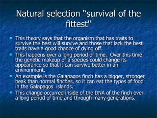 Chapter 6-Evolution | PPT