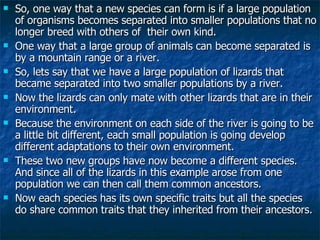 Chapter 6-Evolution | PPT