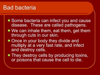 Chapter 7- bacteria | PPT