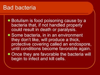 Chapter 7- bacteria | PPT