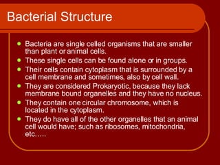 Chapter 7- bacteria | PPT