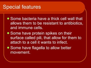 Chapter 7- bacteria | PPT
