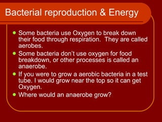 Chapter 7- bacteria | PPT