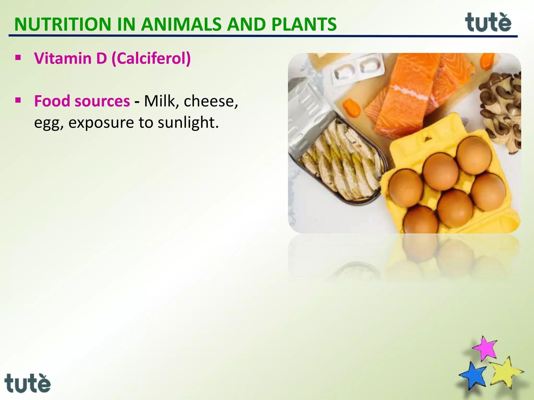 7th class ICSE- Biology - Nutrition in Animals and Plants | PPT