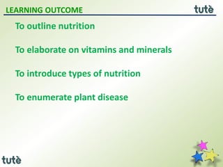 7th class ICSE- Biology - Nutrition in Animals and Plants | PPTX