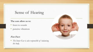 7th - Unit 1 - Sense Organs | PPT