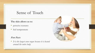 7th - Unit 1 - Sense Organs | PPT