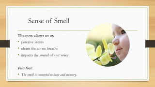 7th - Unit 1 - Sense Organs | PPT