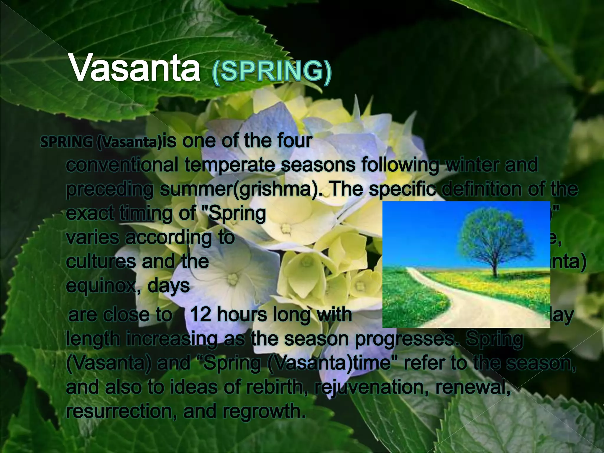 Seasons description project | PPTX