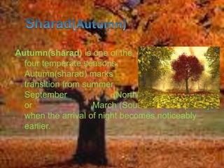 Seasons description project | PPT