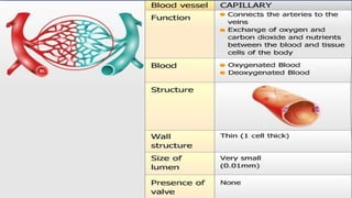7th circulation ict | PPTX