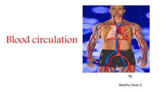 7th circulation ict | PPTX