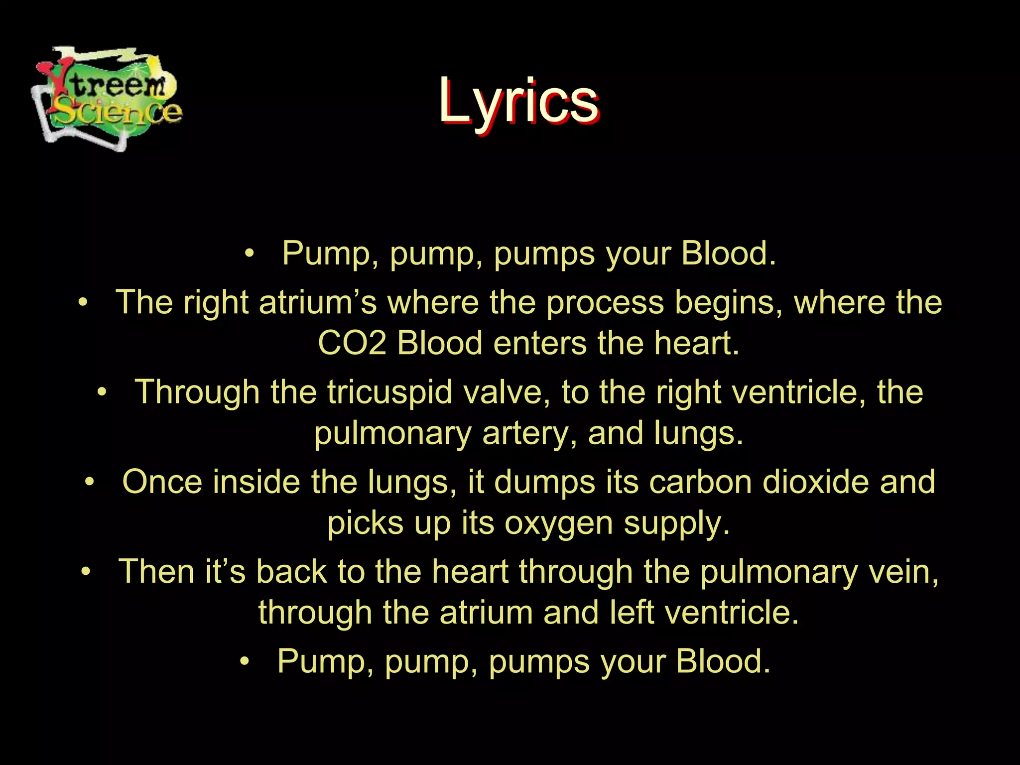 7th Circulatory System.ppt